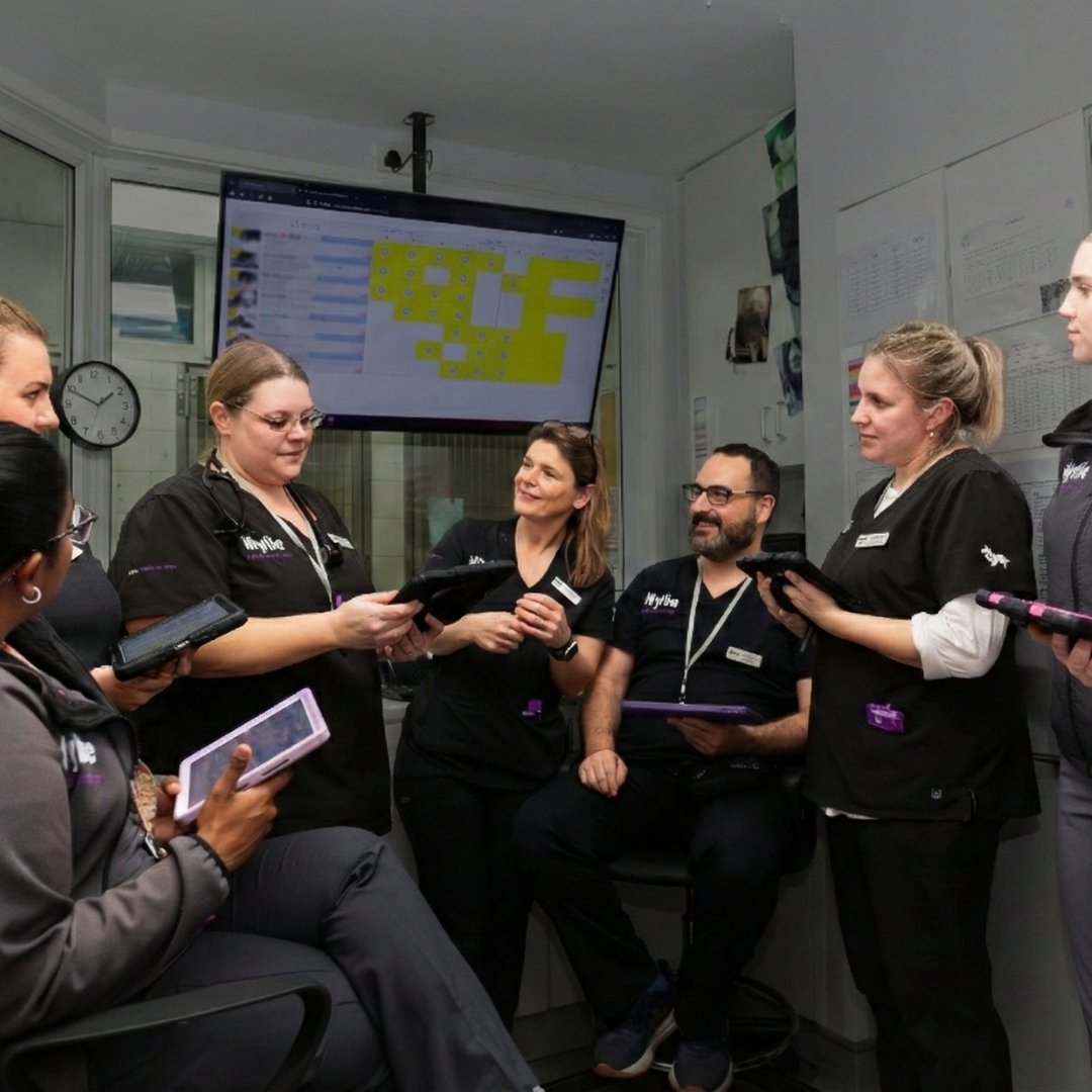 24-Hour Emergency Vet In Upminster, Essex | The Wylie Veterinary Centre